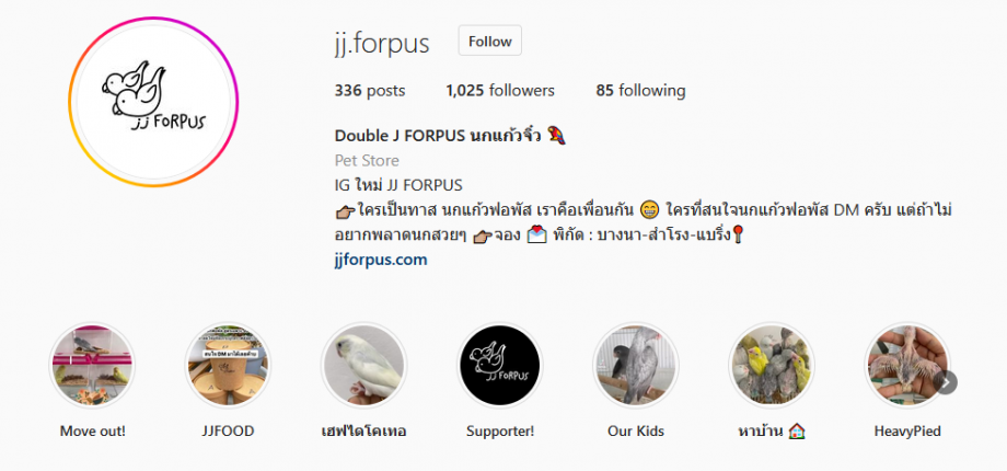 JJ FORPUS – นกแก้วฟอพัส บ้านดับเบิ้ลเจ